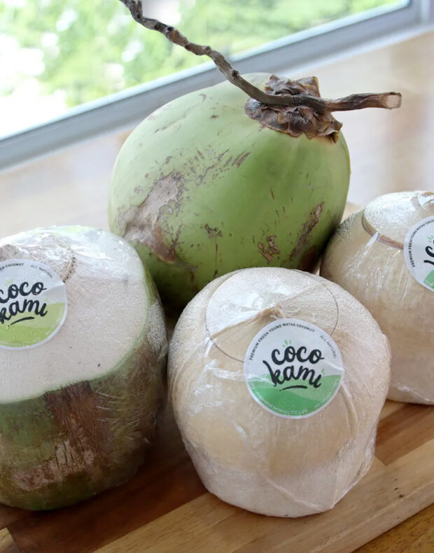 well'B – Page 4 – coconuts, desserts and more